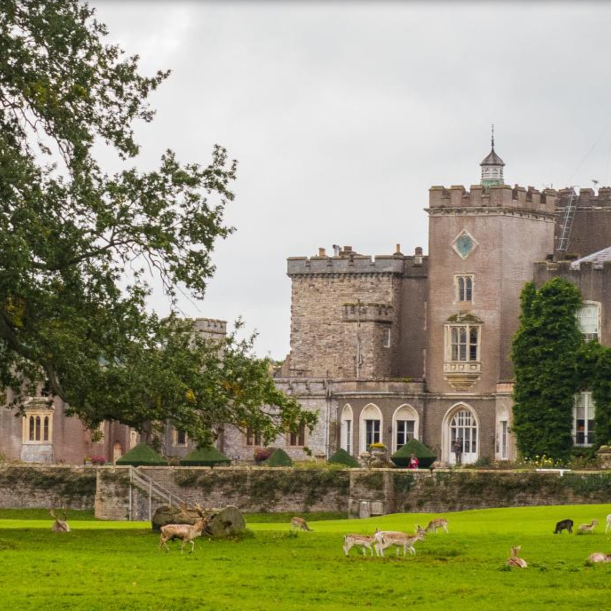 powderham castle | Monkton Wyld Holiday Park ~ Caravan Camping ...