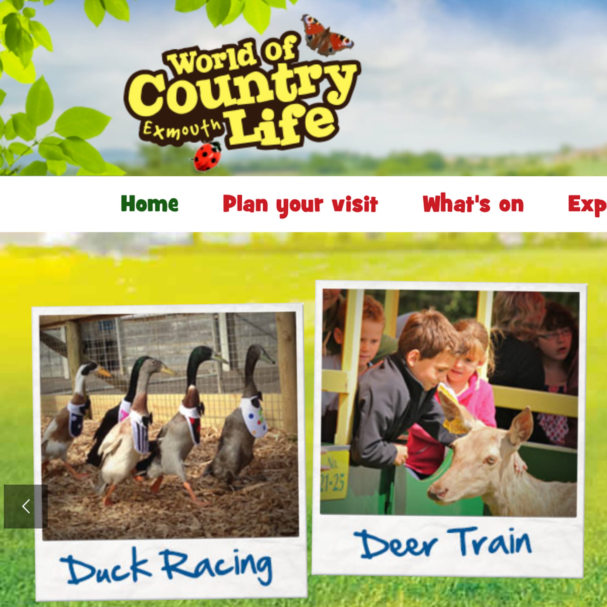 world of country life | Monkton Wyld Holiday Park ~ Caravan Camping ...